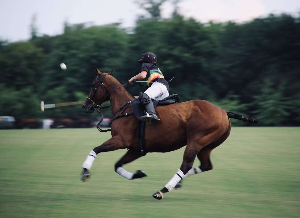 Polo en Sotogrande: Descubre este maravilloso deporte